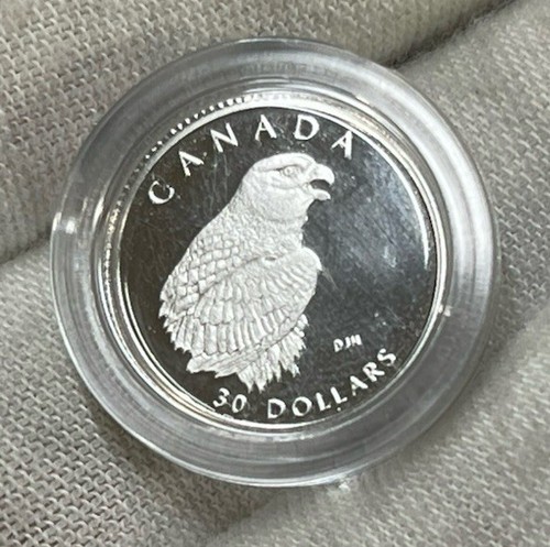 1996 Canada 30 Dollars Platinum Coin 0.0999 OZ Low Mintage RARE High ...