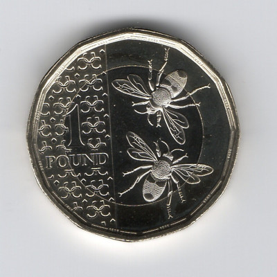 Royal Mint 2023 BEES BU £1 Coin - Brilliant Uncirculated One Pound with ...