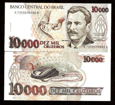 Brazil 10000 CRUZEIROS P-233 1993 Vital UNC Brazilian Snake World ...