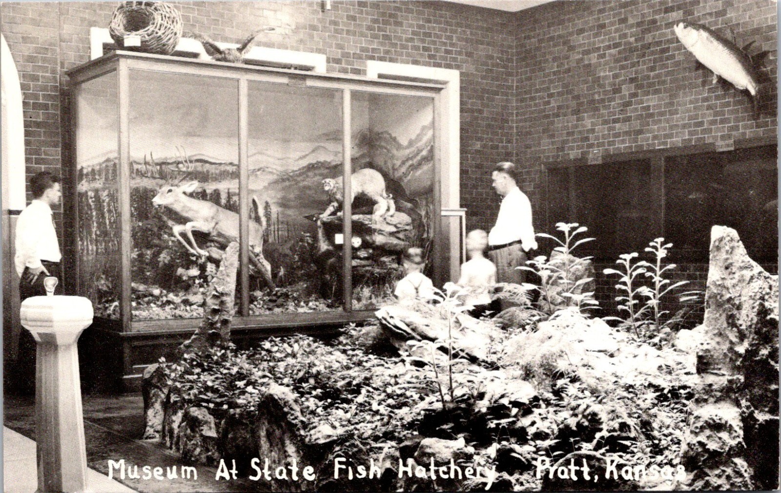 Museum at State Fish Hatchery Pratt Kansas Postcard | eBay