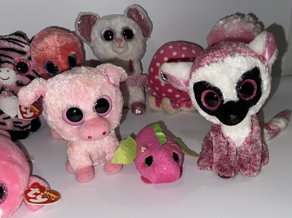 Ty Beanie Boo Lot Icy Pierre Nina Leeann Corky Kiwi Zoey Gilda Twiggy ...