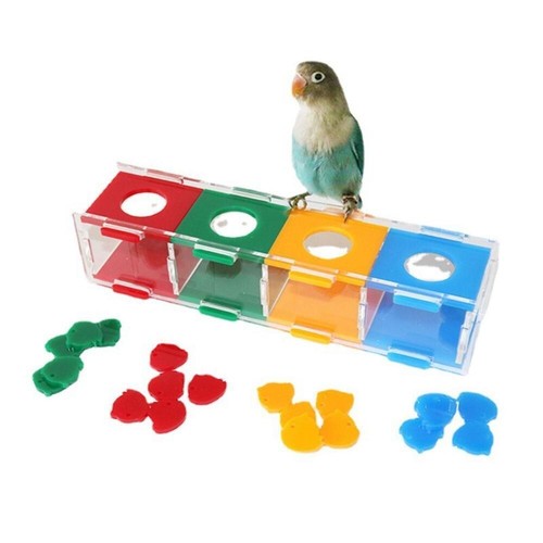 Parrot Coin Box Toy Interactive Color Sorting Toy Training and ...