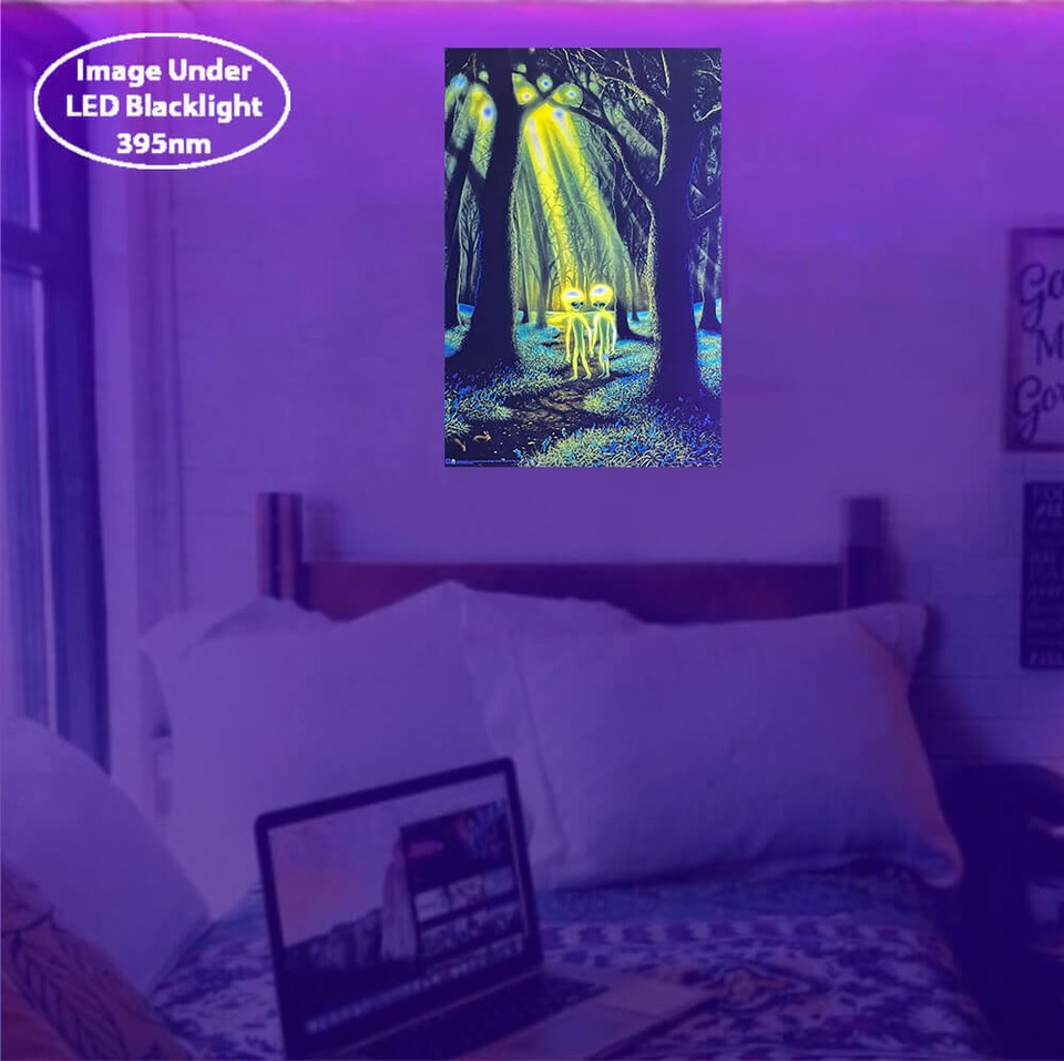 Alien Woods by Danny Flynn Non-Flocked Blacklight Poster 24" x 36" | eBay