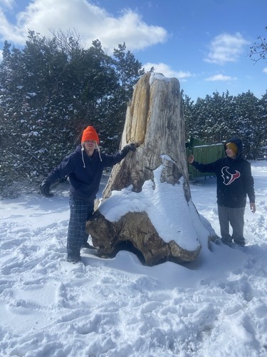Giant Petrified Wood Tree Stump 8ft Tall One of a kind fossil River ...