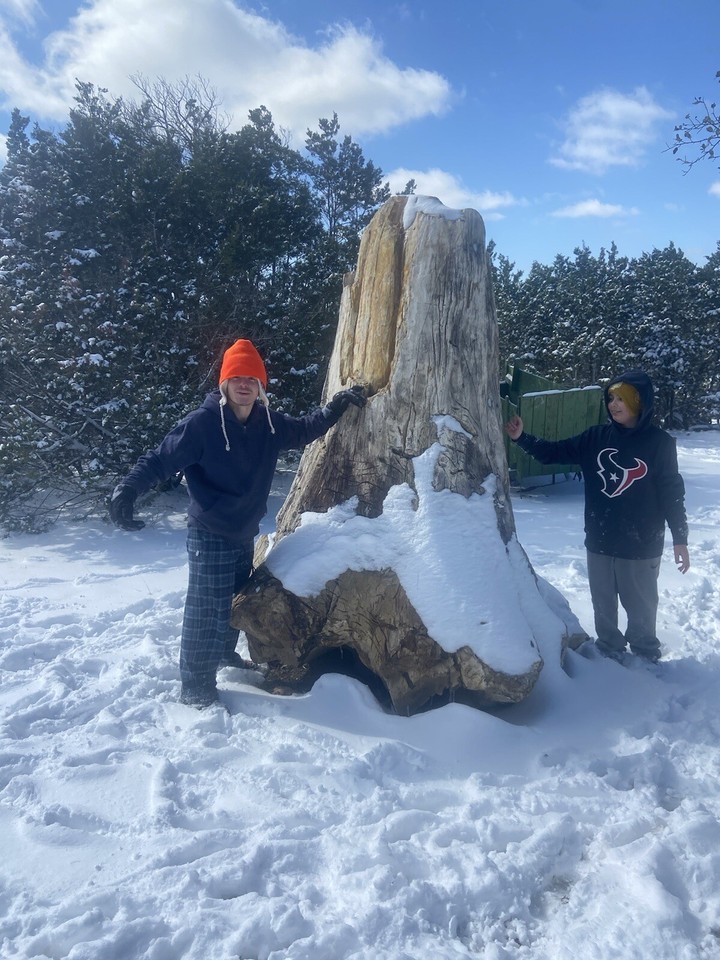 Giant Petrified Wood Tree Stump 8ft Tall One of a kind fossil River ...