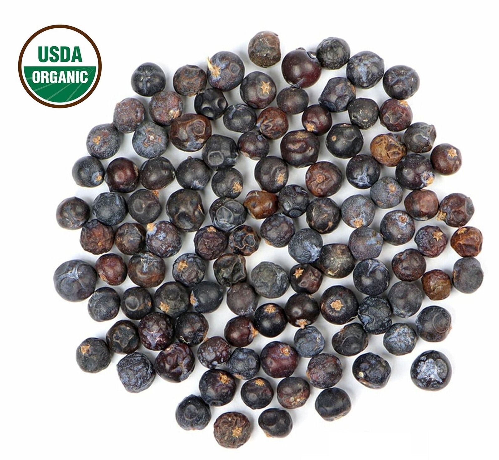 Organic JUNIPER Dried Berries | Whole | Juniperus communis | 2oz/4oz ...