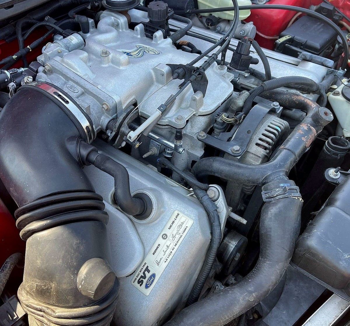 2001 Mustang Cobra Engine