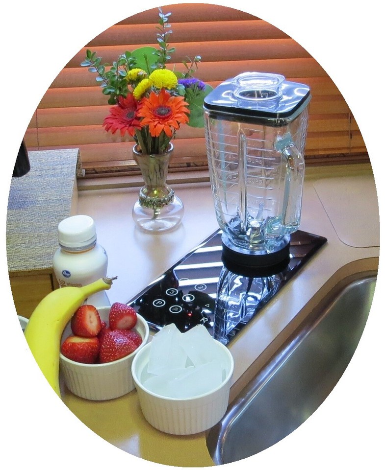 In-Built in-counter blender (Food Center) w/1000W Drop in under counter ...