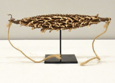 Pacific Islands & Oceania - Dog Teeth