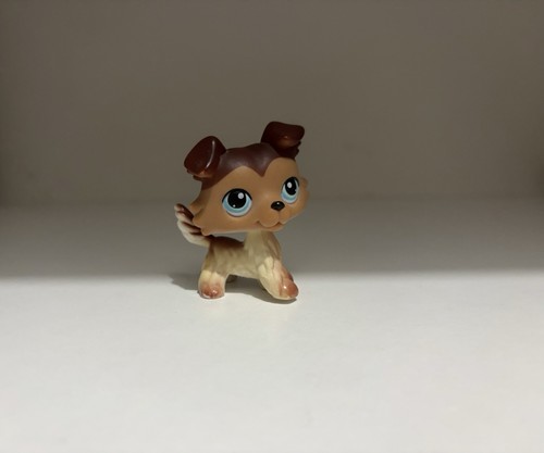 LPS Littlest Pet Shop Brown Border Collie #58 Paw Down Dog Blue Eyes | eBay