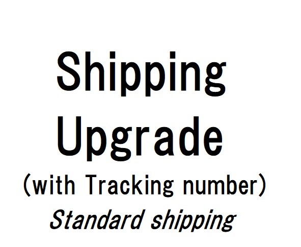 Shipping upgrade to Standard shipping with tracking number | eBay