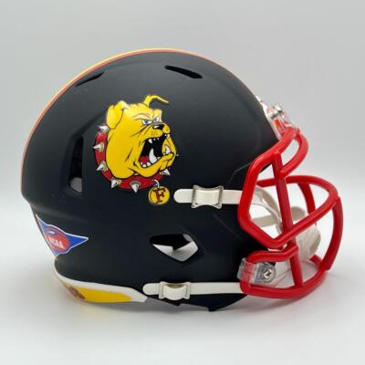 Ferris State Bulldogs CUSTOM Matte Black Mini Football Helmet | eBay
