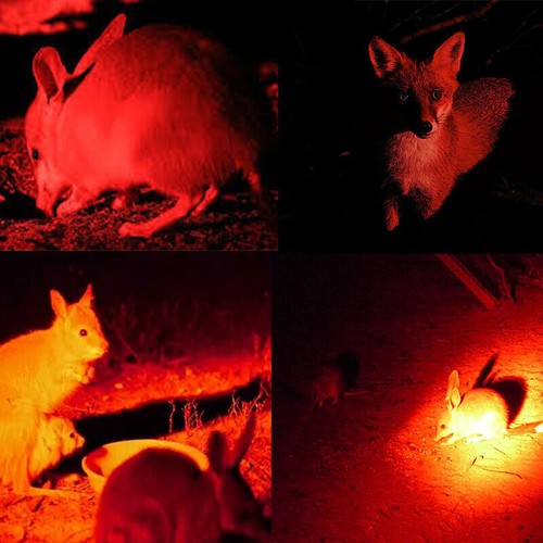 Gun Red Green Flashlight Hunting Air Rifle Torch Lights Scope Mount ...