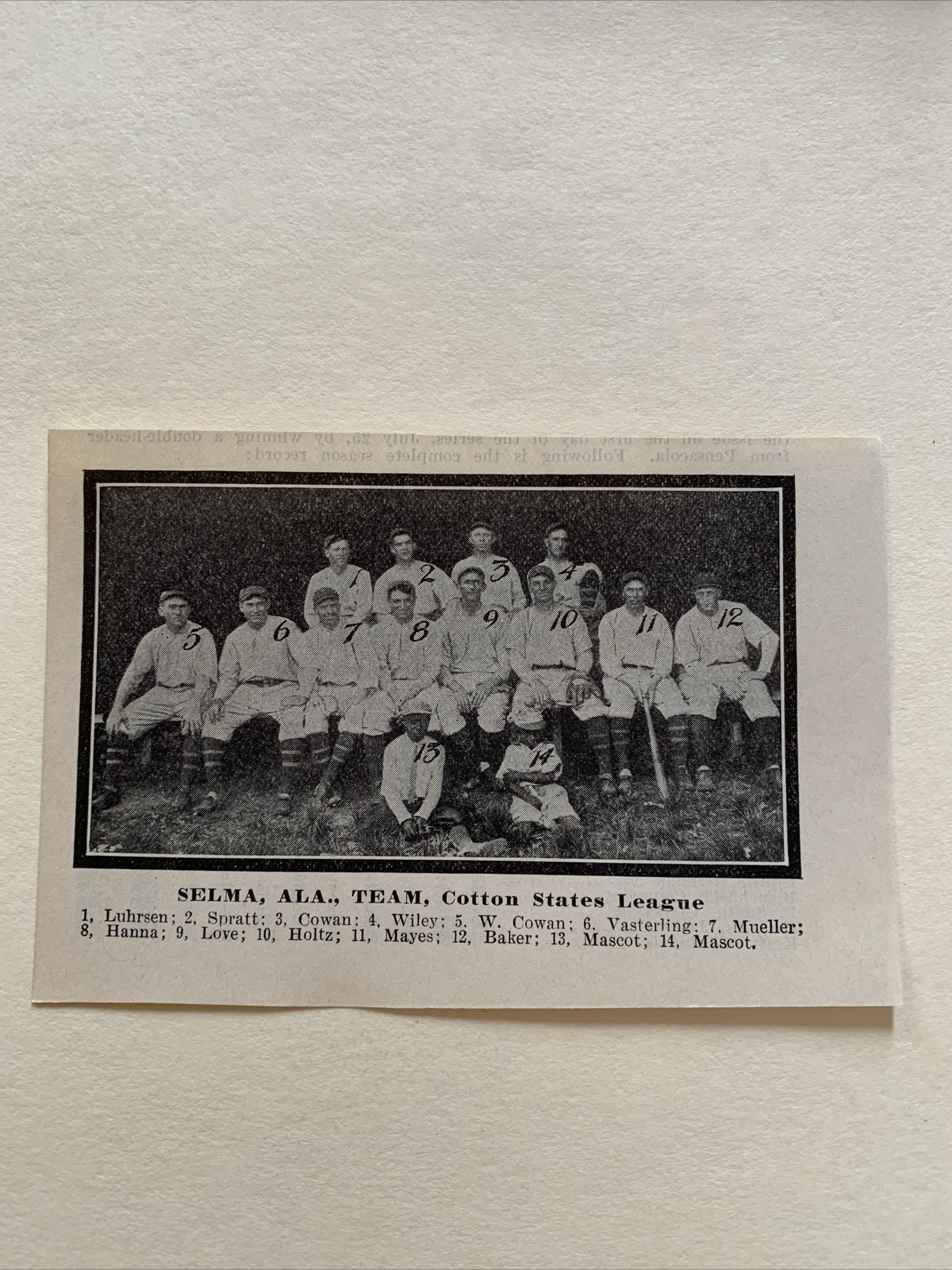 Selma Centralites Alabama Slim Love Harry Spratt 1913 Baseball Team ...