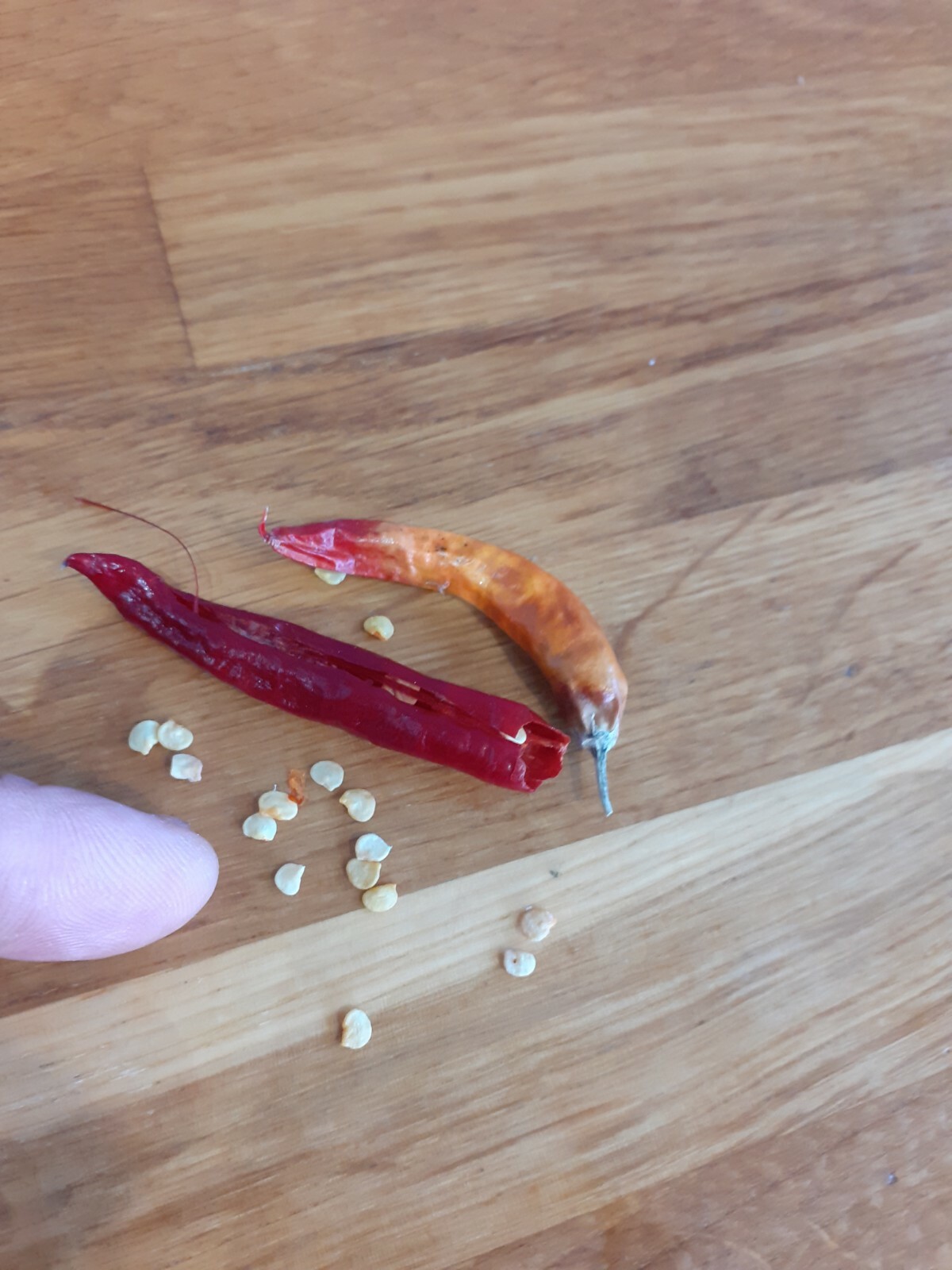 Thai Dragon- HOT CHILLI PEPPER - Bangladeshi Chinese Asian Vegetable ...