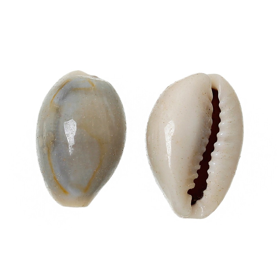 25 Shell Beads Great Beach Jewelry Item Natural Shells - BD565 | eBay