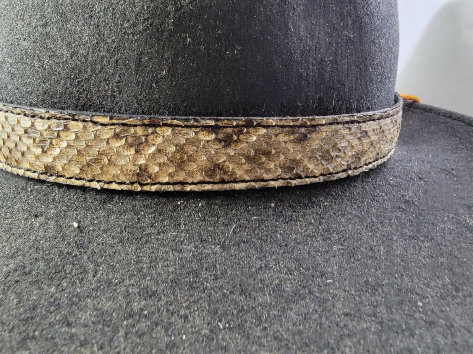 RATTLESNAKE skin hat band band adjustable NWOT Western cowboy cowgirl ...
