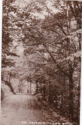 Cwm Woods, ABERYSTWYTH, Cardiganshire RP | eBay UK