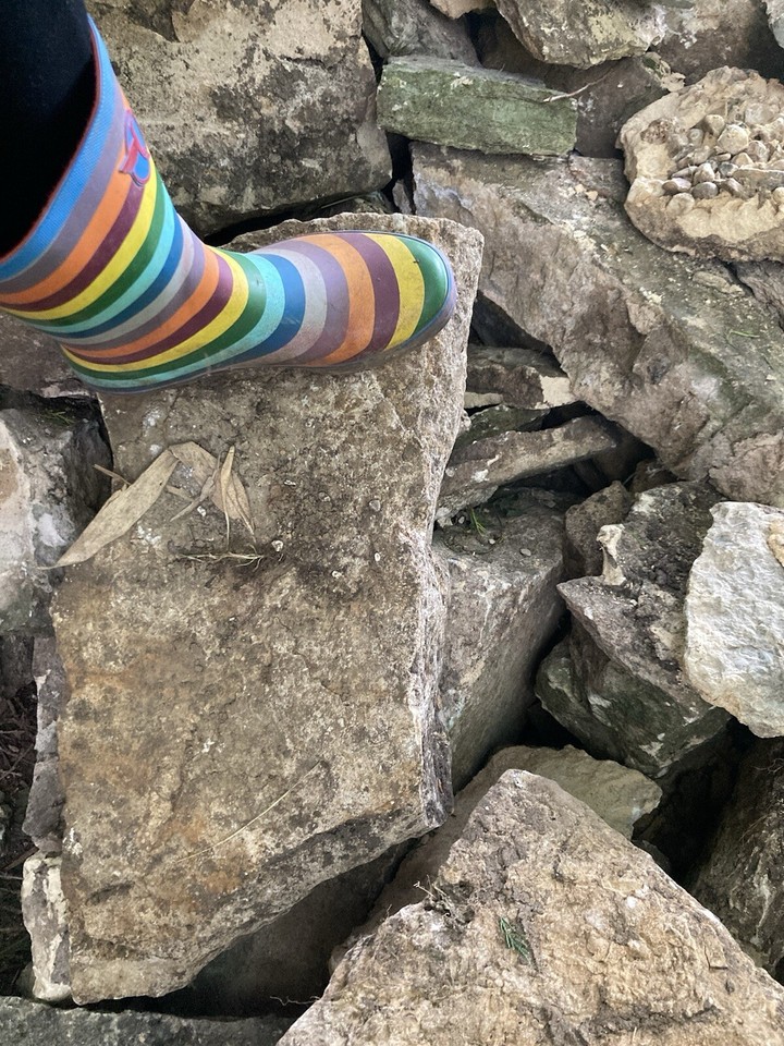 Rockery Stones Large Big Garden Rocks Landscaping Rocks Garden ...