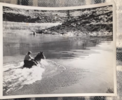 Kim DARBY—SIGNED Wayne True Grit PHOTO To Stunt Woman Polly BURSON ...