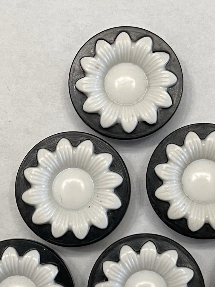 Vintage Set of 6 Black & White COLT #10 DAISY Flower Buttons - 3/4 ...