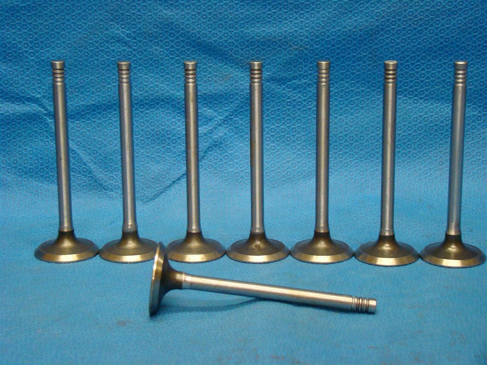 Ford 351 351C Cobra Jet INTAKE Valve Set 8 Valves 1971 1972 Mustang ...