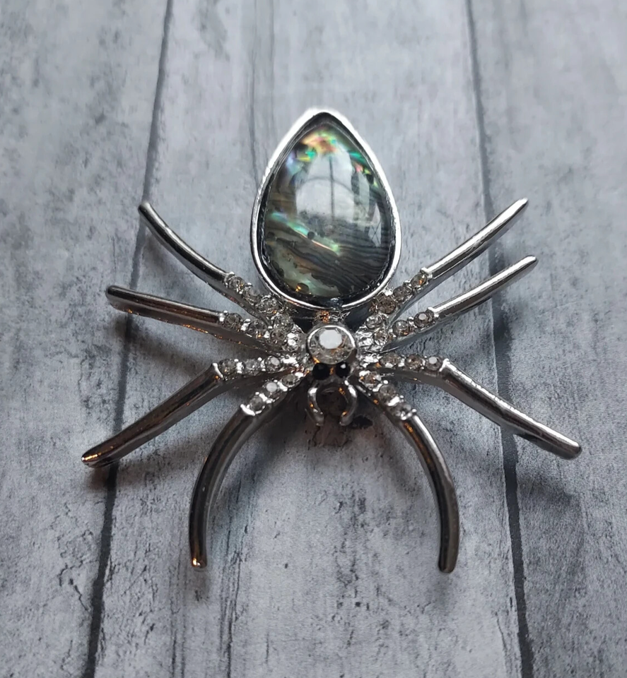 MAGNETIC Spider Brooch, natural Shell. Men's brooch. Spider jewelry ...