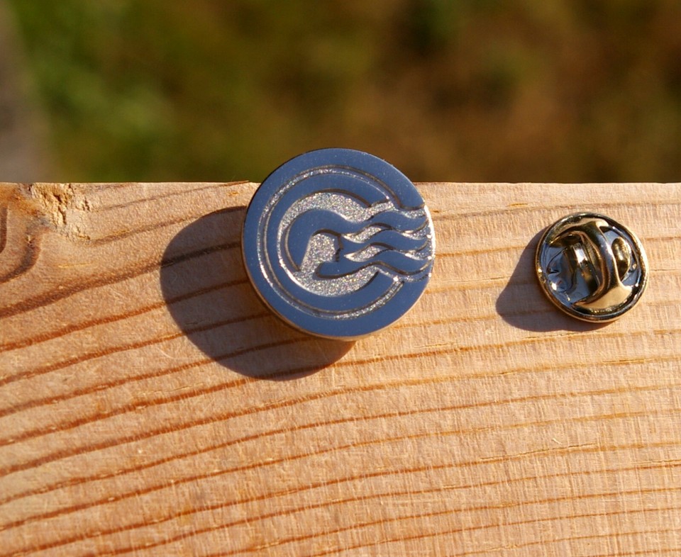 Princess Cruises Ship Captain's Circle 3/4" Silver Tone Metal Lapel Pin ...