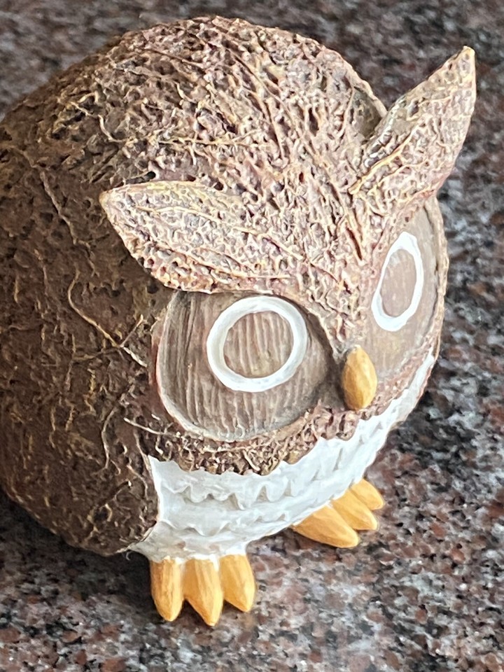 2010 Enesco Home Grown Coconut Owl Figurine #4022978 | eBay