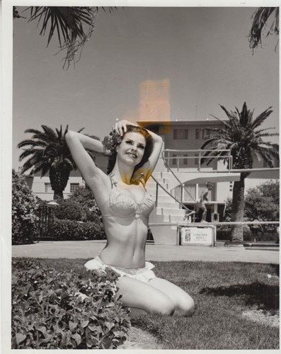 Kari Noven relaxes- 6/1964- Pin Up Girl- Fabulous Flamingo | eBay