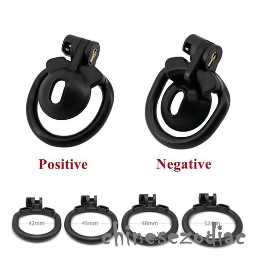 Male Positive and Negative Rings Sissy Chastity cage Locked Device with ...