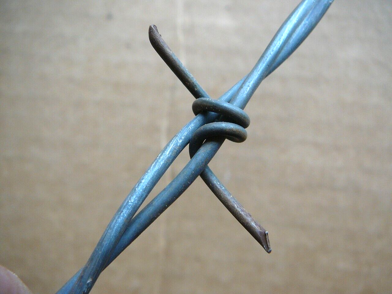 BROTHERTON'S TWO POINT GAUCHO VERY LONG BARBS - ANTIQUE BARBED BOBBED ...