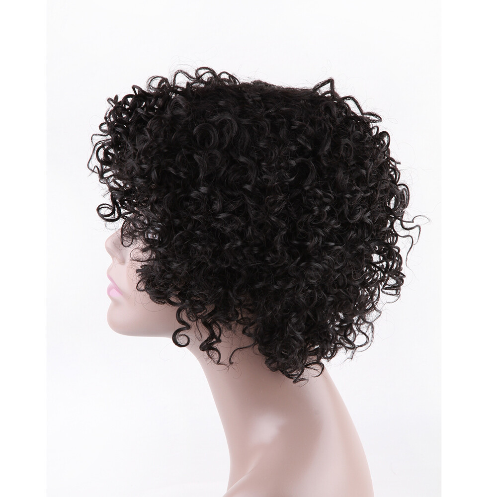 Short Peruvian Curly Human Hair Wigs with Bangs Kinky Curly Afro Wigs ...