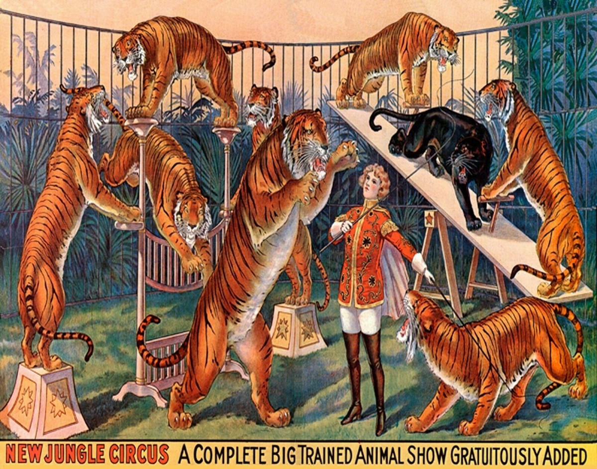 Vintage Circus Animals Clipart Black White Circus Animals Images