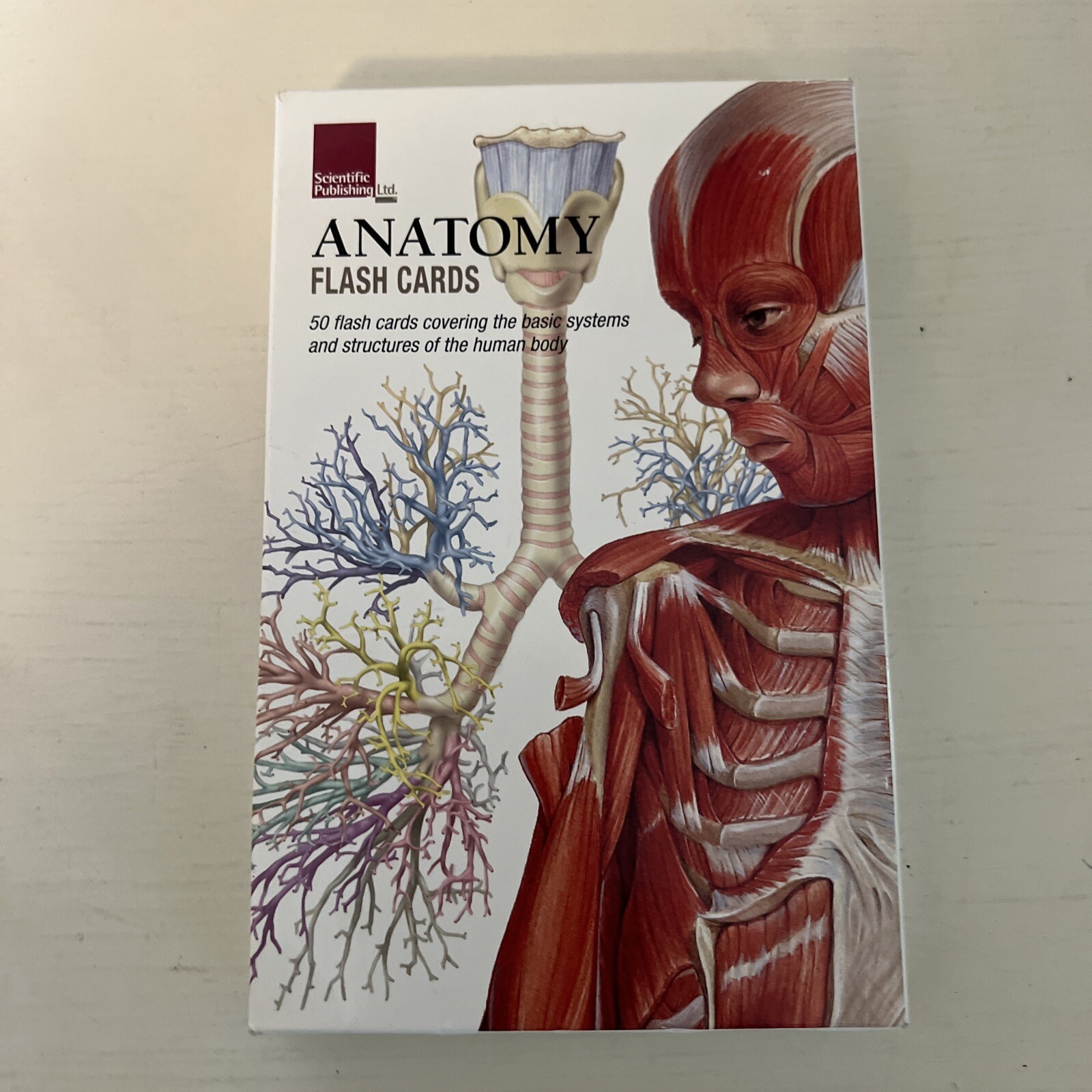 Anatomy+Flash+Cards+by+Scientific+Scientific+Publishing+%282011%2C ...