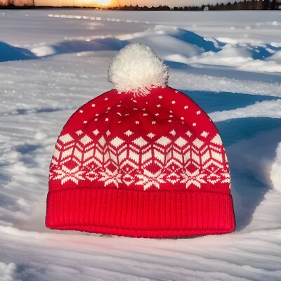 NWOT HANNA ANDERSSON WINTER SNOW SWEATER KNIT POM POM HAT XL 12 + | eBay