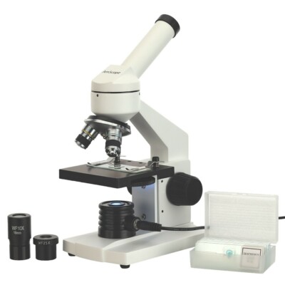 AmScope 40X-1000X Compound LED Student Microscope Biological Science | eBay