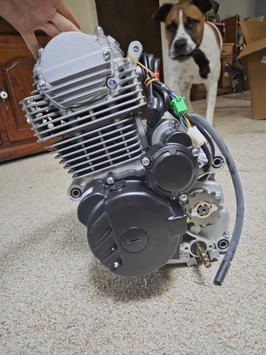 X-PRO 250cc 4-Stroke 5 Speed Dirtbikes Pit Bikes Zongshen Engine Motor ...