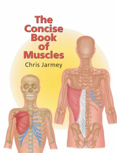 The Concise Book of Muscles by Jarmey, Chris 1556434669 FREE Shipping ...