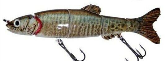 Matzuo America Doragon 6" Jointed Life Like Swim Tiger Minnow 3-5 ...