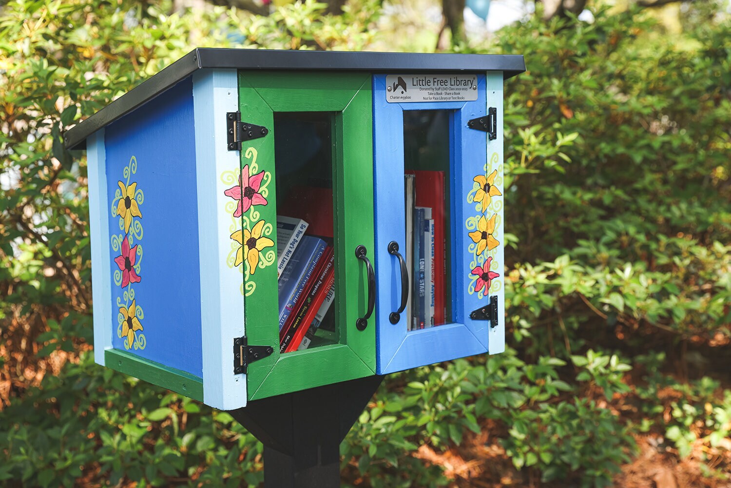 Instant Little FREE Library BOOKs~Value Lot~U PICK GENRE Mix~Fiction ...