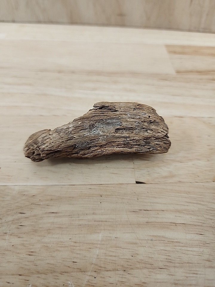 Civil War Relic Minnie Ball Embedded In Wood Bullet Ammo | eBay