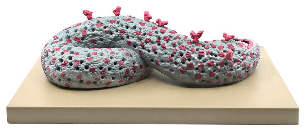 Ebola Virus Model Model Of Ebolavirus Pathogenesis In Humans.