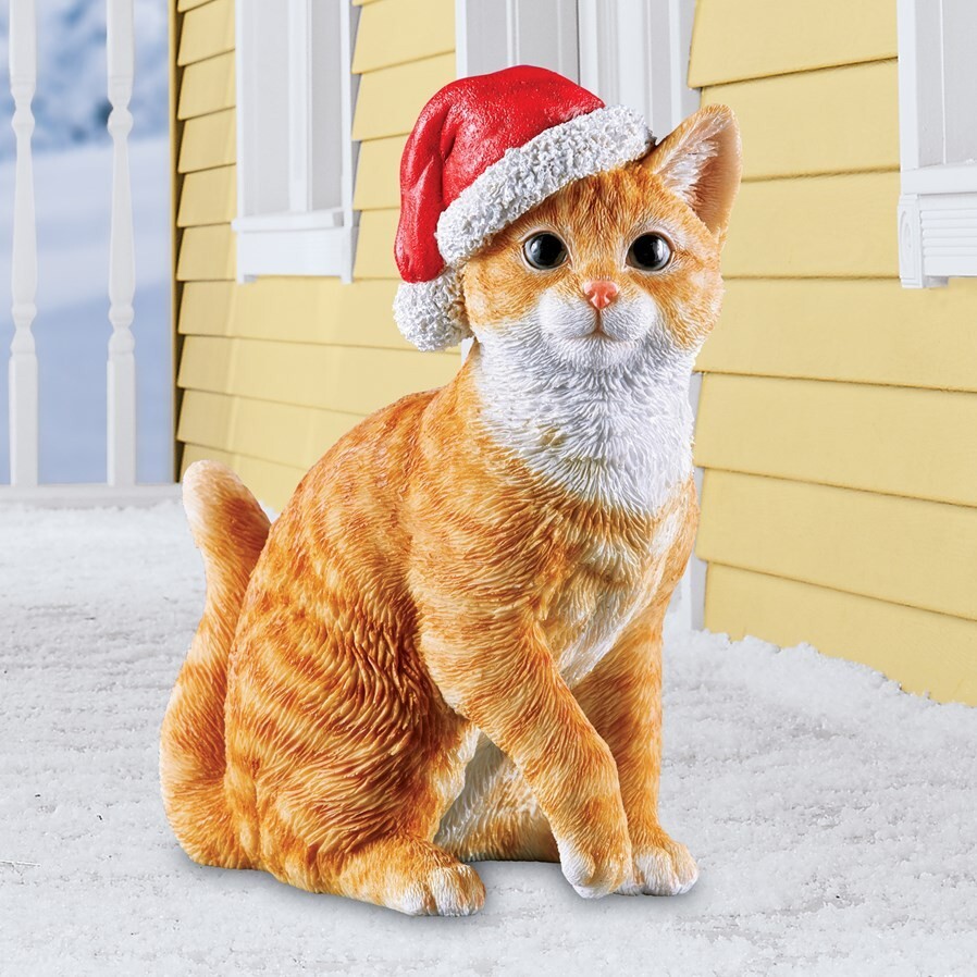 Kittens Wearing Santa Hats Hey Reddit, I Put A Santa Hat On My Cat To