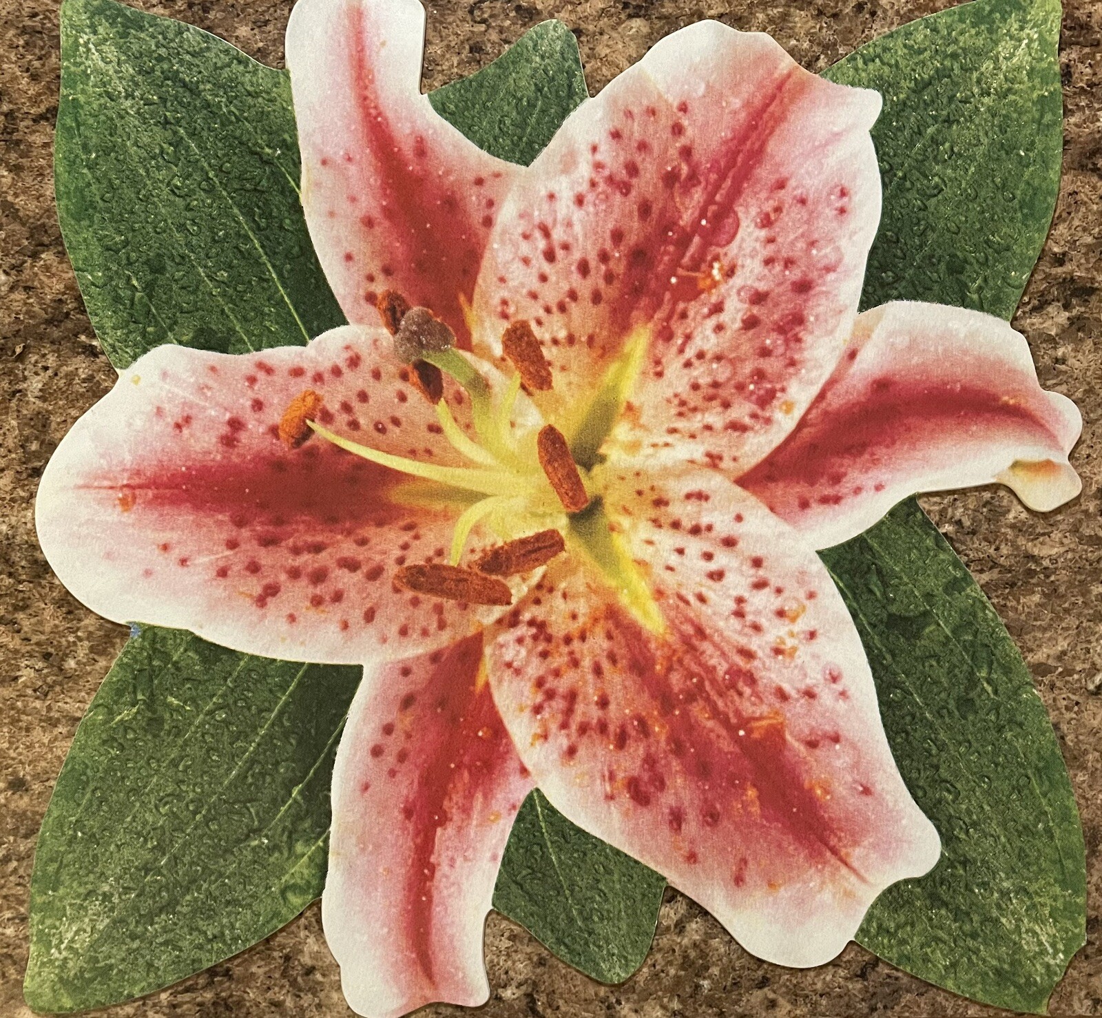 Set 4 Pimpernel Table Mates Stargazer Lily Flower Shaped Placements 1 ...