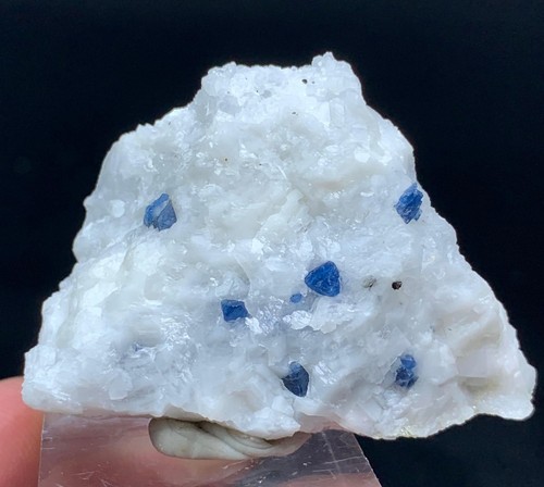 Rare Deep Blue Spinel Crystals on White Matrix | Mineral Specimen, 12 ...