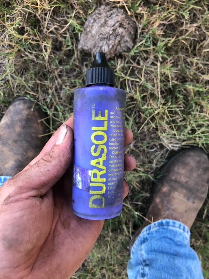 Durasole Sole Toughener NEW ONE BOTTLE!! THICKEN SOLES OF THE HOOF! | eBay