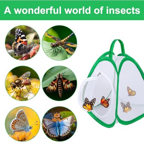 2 Pcs Mini Butterfly Habitat Cage- 10 x 8.8 x 8 Inch Collapsible Insect ...