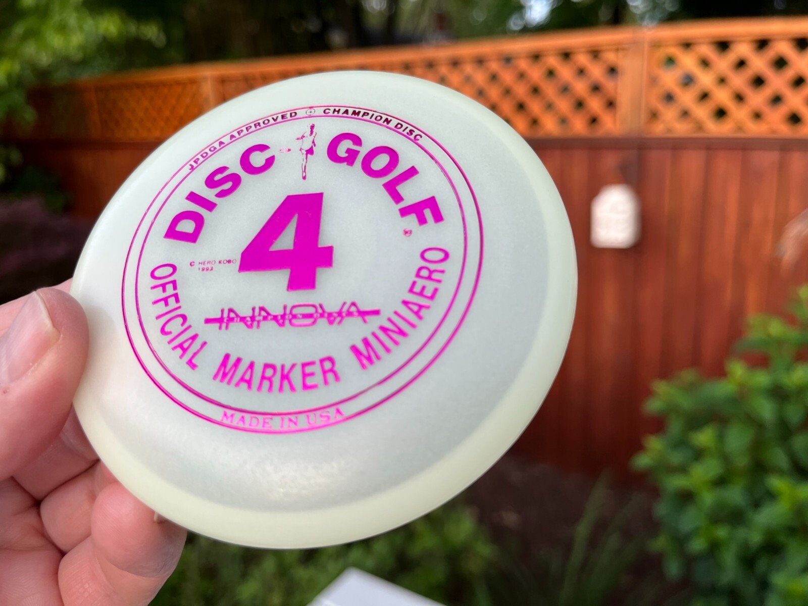 Sam Ferrans (AERO) Hero Japan GLOW New Mini Disc Golf Innova Ontario ...