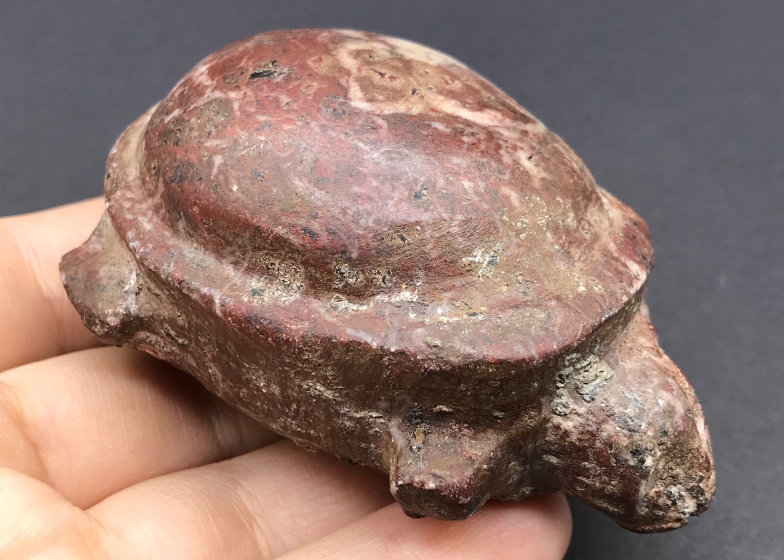 Very old ancient Bactrain turtle stone figure hand carved | eBay